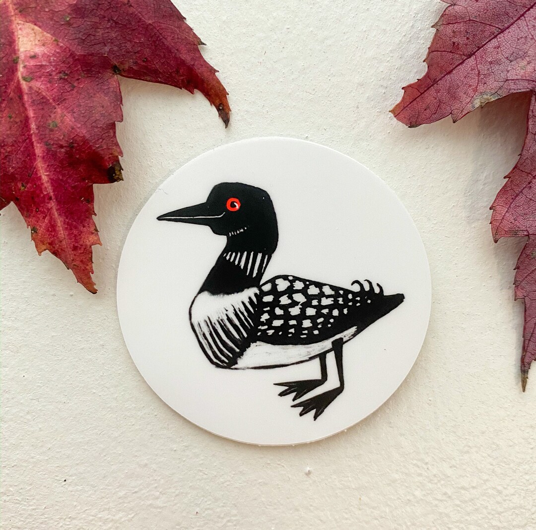 Common Loon / Adirondacks Mountain Lake Life High Peaks 46er Outdoor ...
