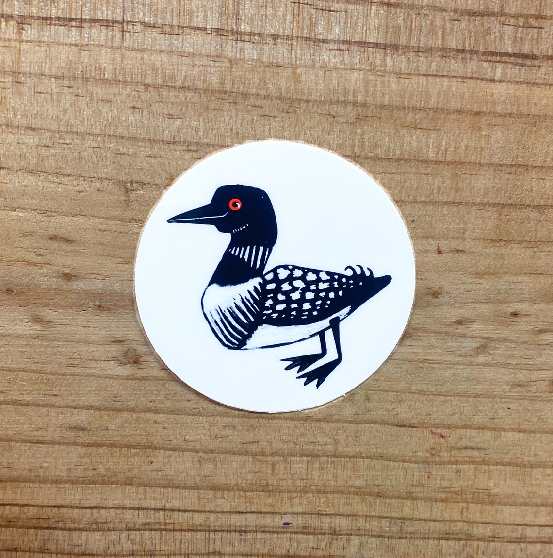 Common Loon / Adirondacks Mountain Lake Life High Peaks 46er Outdoor ...