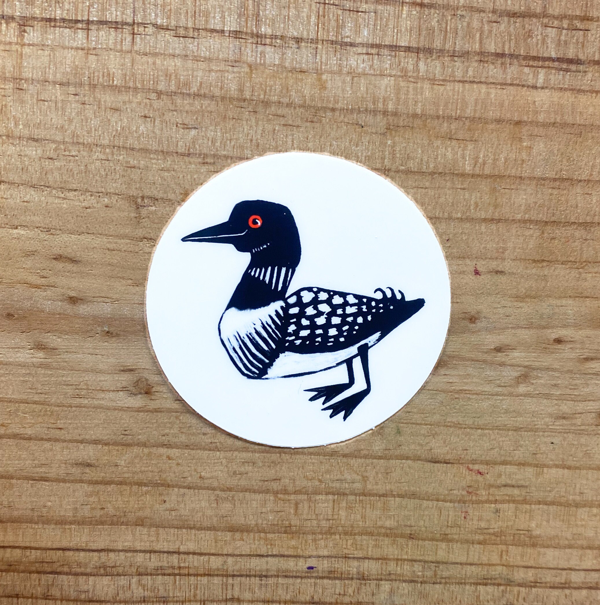 Common Loon / Adirondacks Mountain Lake Life High Peaks 46er Outdoor ...