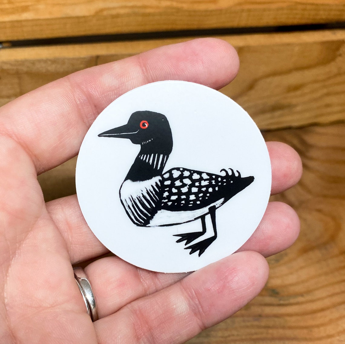 Common Loon / Adirondacks Mountain Lake Life High Peaks 46er Outdoor ...