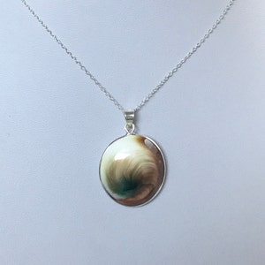 Gorgeous Large Natural White Shiva Shell and 925 Sterling - Etsy