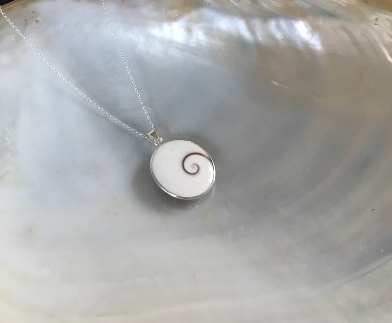 Gorgeous Large Natural White Shiva Shell and 925 Sterling | Etsy