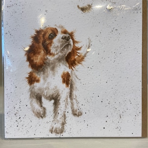 Wrendale Designs Blank Greeting Card, Dog Design,birthday,anniversary ...