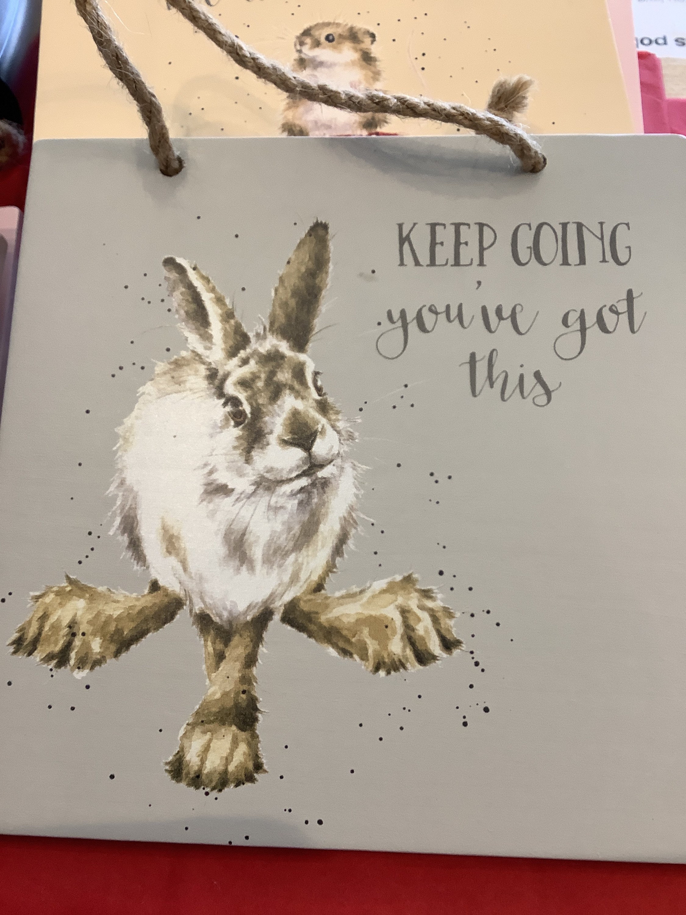 Wrendale Hanging Wall Plaques.cute Animals.novelty | Etsy