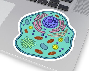 Rotifer, Transparent Science Sticker, Microscopic Aquatic Animal ...