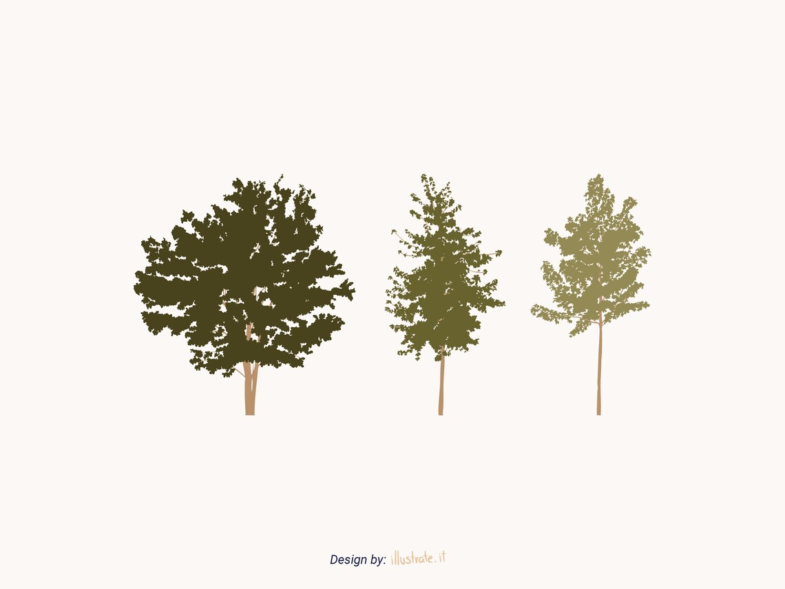 Tree Palette Vol. 2 – Minimal Color Illustrations With Scientific ...