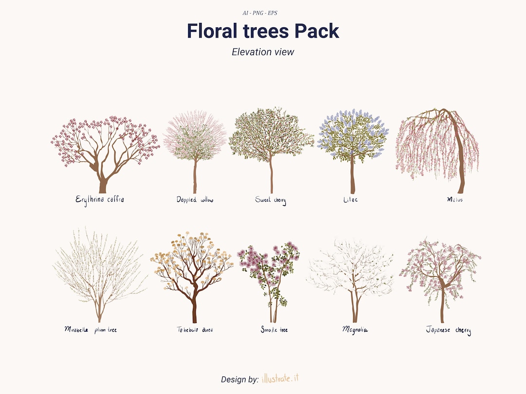 Set of 10 Flat Vector Floral Trees Illustration - Etsy