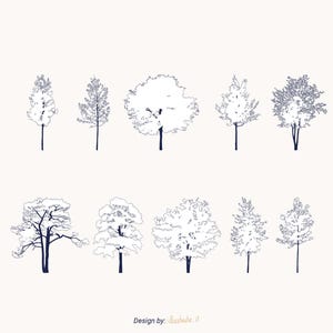 Set of 10 Flat Vector Urban Trees Illustration | Minimal Tree Png Asset ...