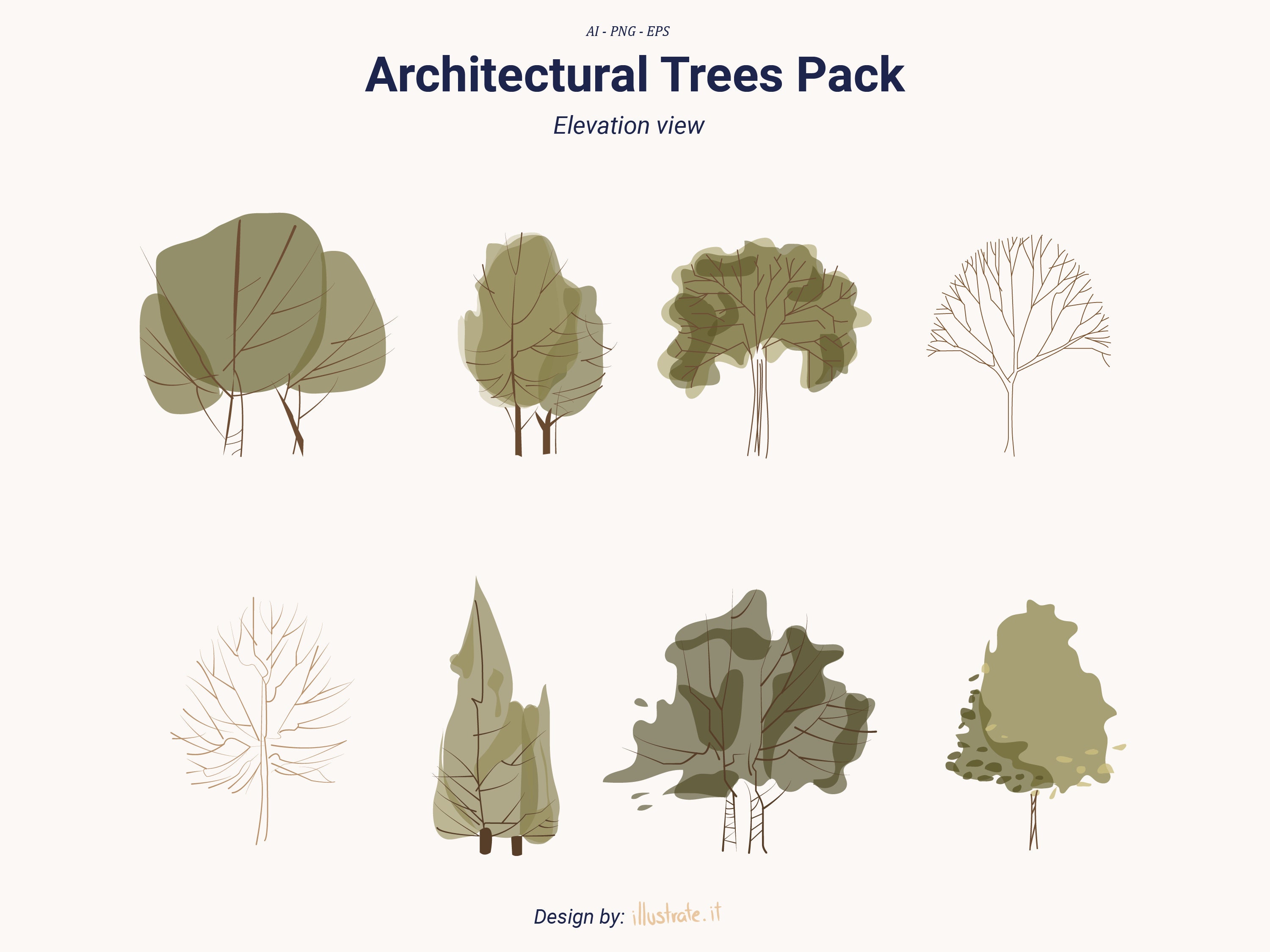 Architectural Trees In Elevation