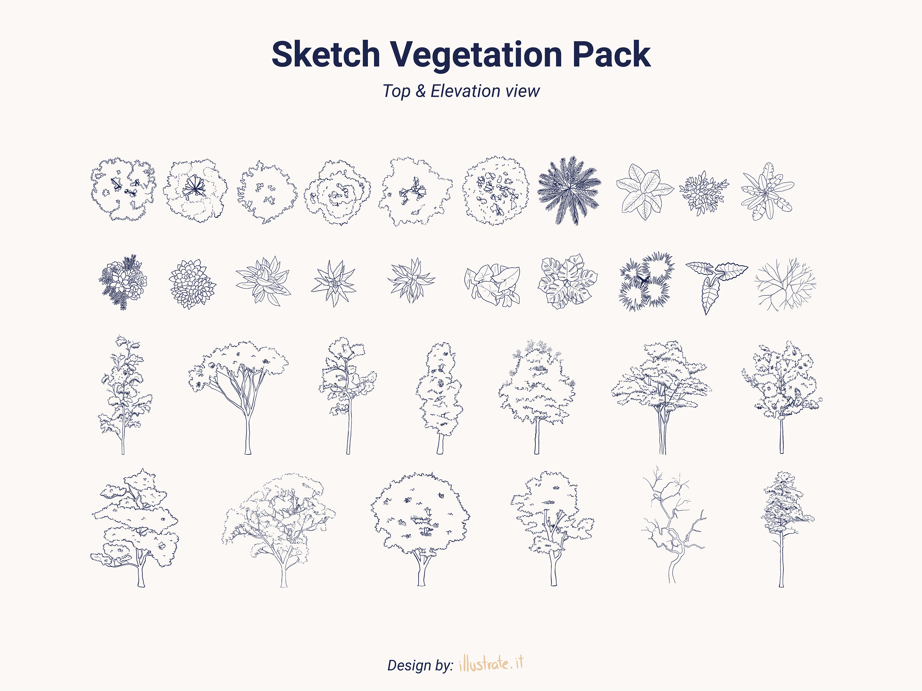 Sketch Style Trees and Plants, Hand Drawn Vector Vegetation - Etsy