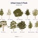 Tree Palette Vol. 2 – Minimal Color Illustrations With Scientific ...