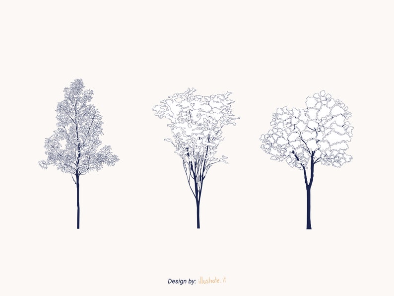 Detailed Tree Vector Set – 10 PNG + AI Files – Digital Illustration - Etsy