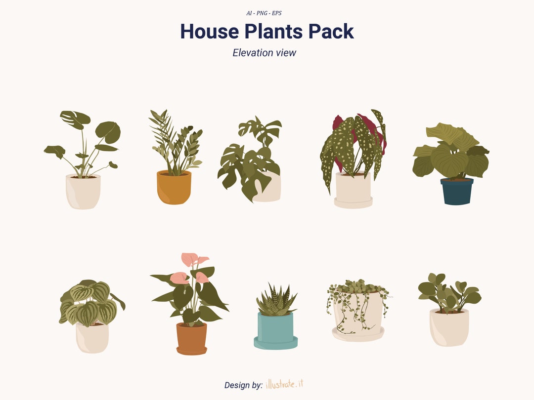 Flat Vector House Plants, Vector Flowers, Home Plants Cutout Vectors - Etsy