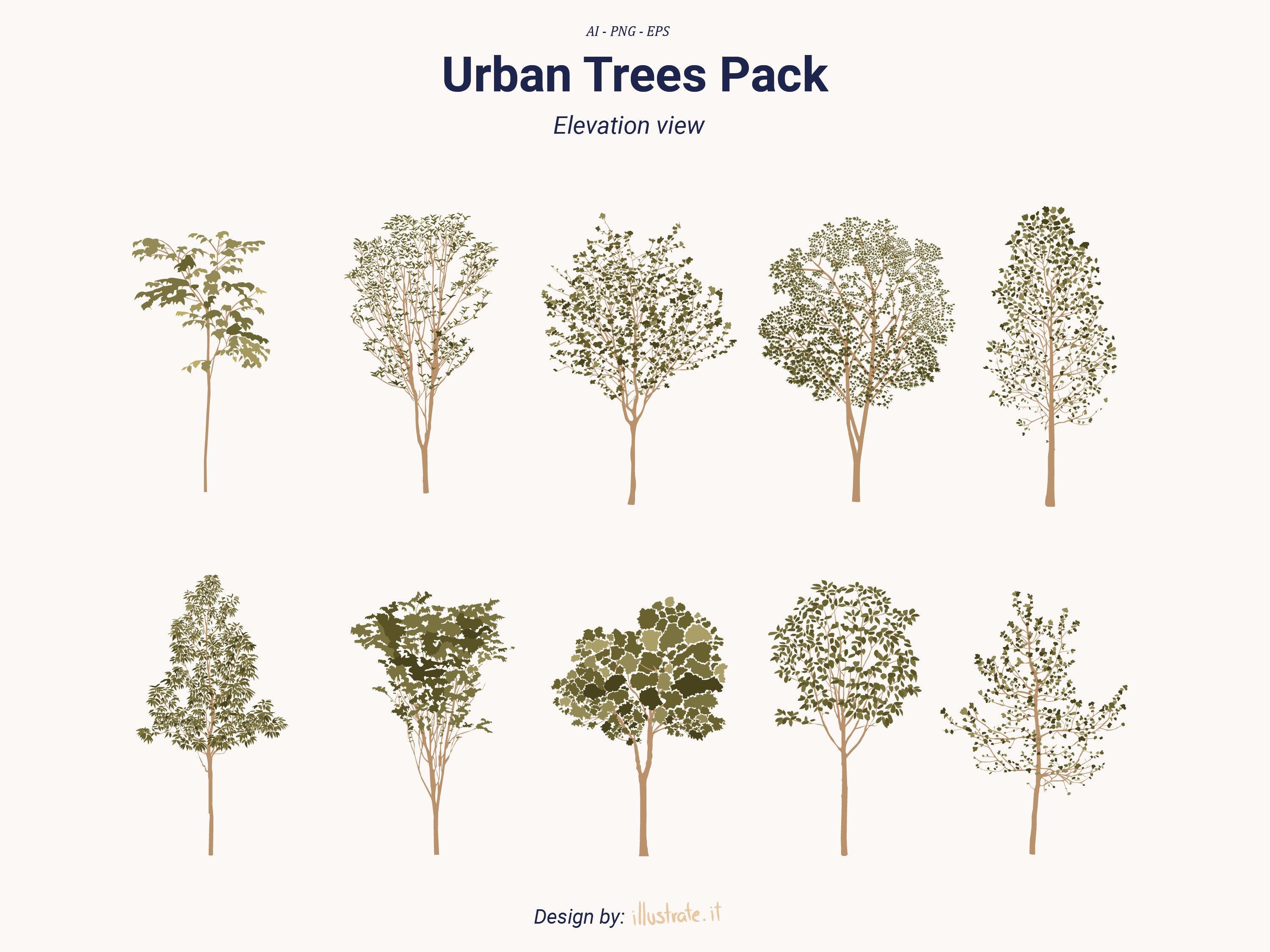Flat Vector Urban Trees, Cutout Vegetation. Set of 10 Vector Plants - Etsy