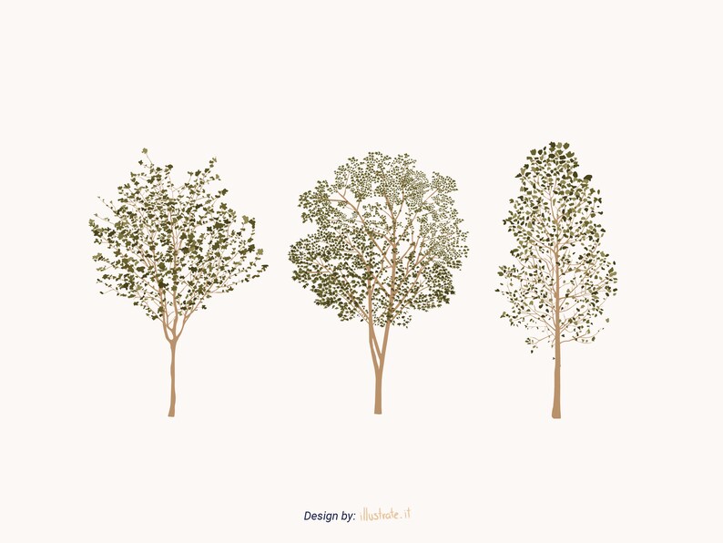 Detailed Tree Vector Set – 10 PNG + AI Files – Digital Illustration - Etsy