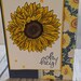 Thinking of You Cards, Stampin up Celebrate Sunflower Cards, Cards With ...
