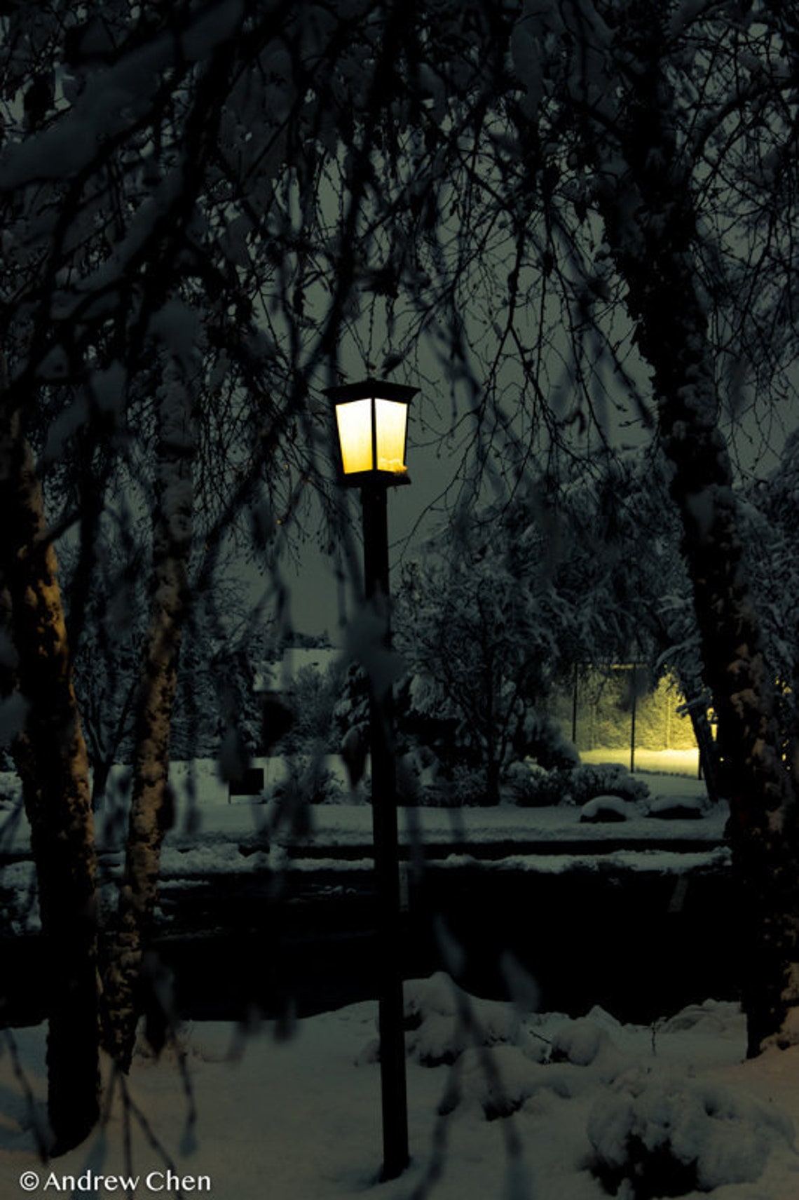 Spooky Night Winter Snow Street Light Trees - Digital Download ...