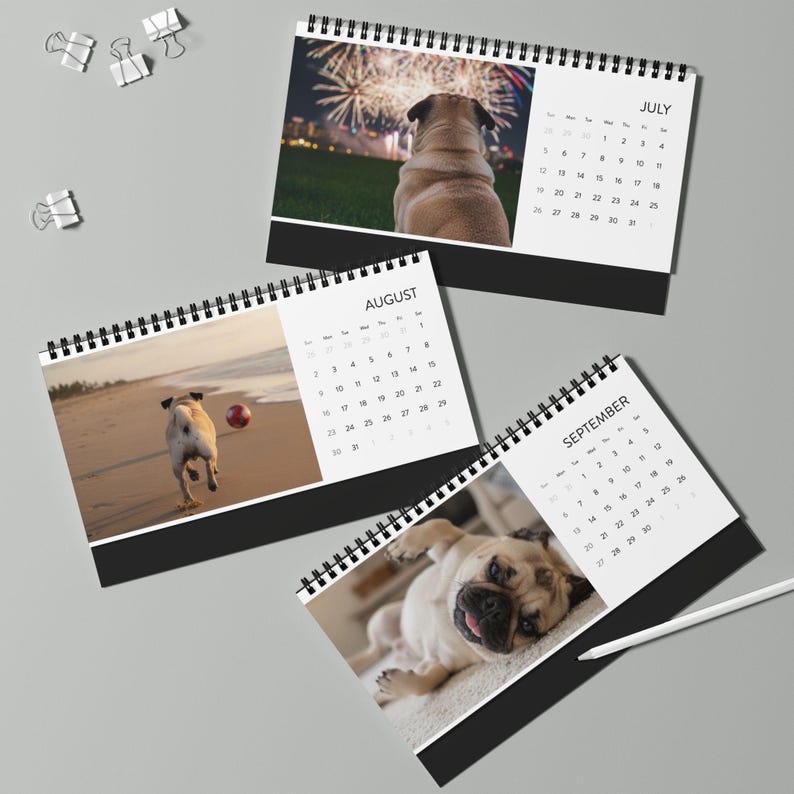Adorable Pugs Desktop Calendar 2026, Cute Animal Planner, Desk Decor ...