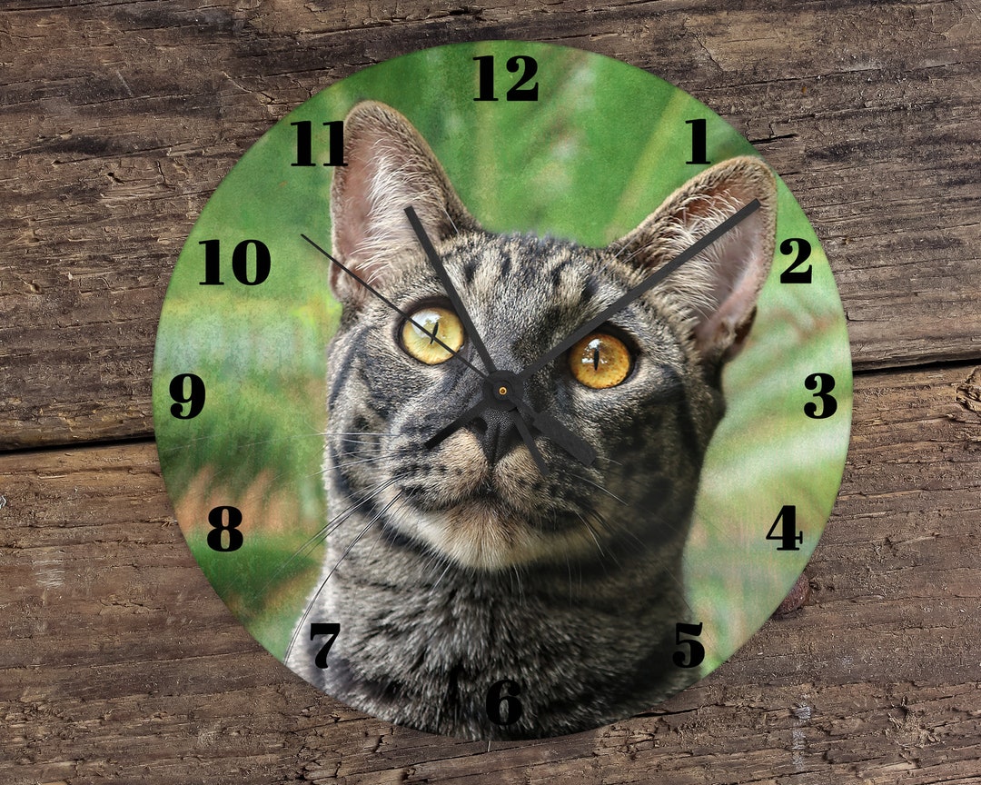 Pet Wall Clocks | Cat Clock | Personalized Pet Gift | Dog Mom Gift ...