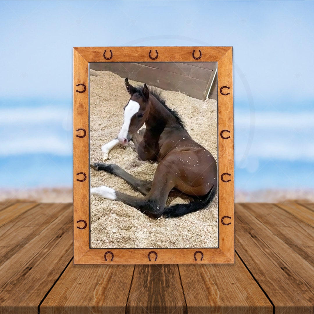 Italian Wood Frame 5x7 | Horse Photo Frame | Cashmere Frame With Brown ...