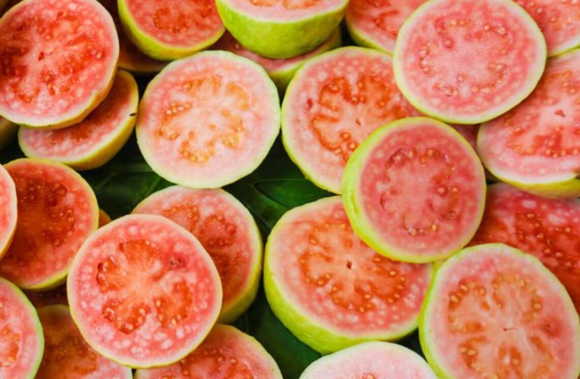 Pink Mexican Guava psidium Guavaja L. - Etsy