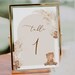Teddy Bear Table Number Pampas Grass Teddy Bear Table Number Card Boho ...