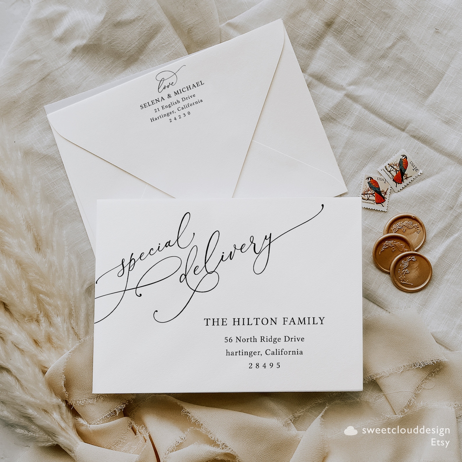 Special Delivery Envelope Address Template Elegant Envelope - Etsy