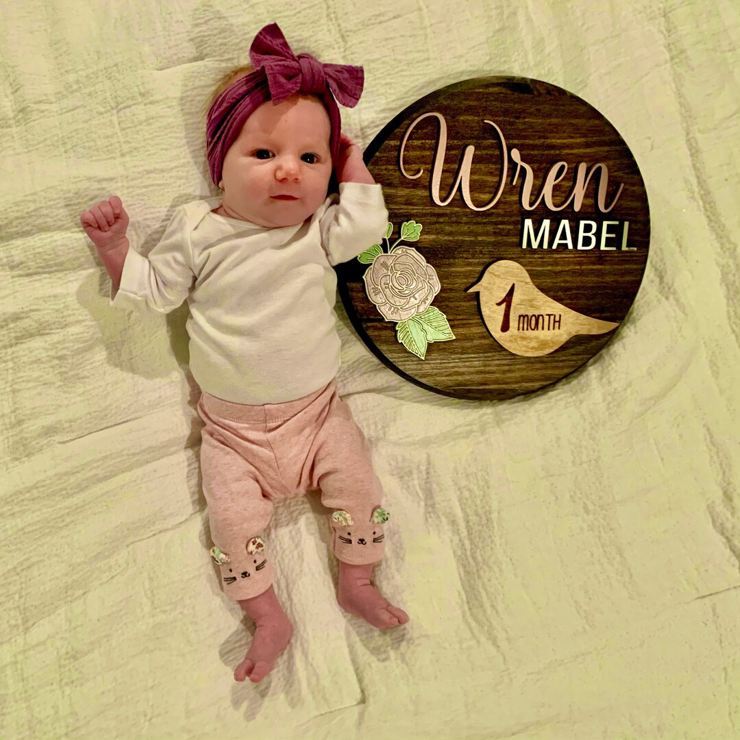 Baby Girl Milestone Sign. Wooden Nursery Sign. Baby Monthly Milestone ...