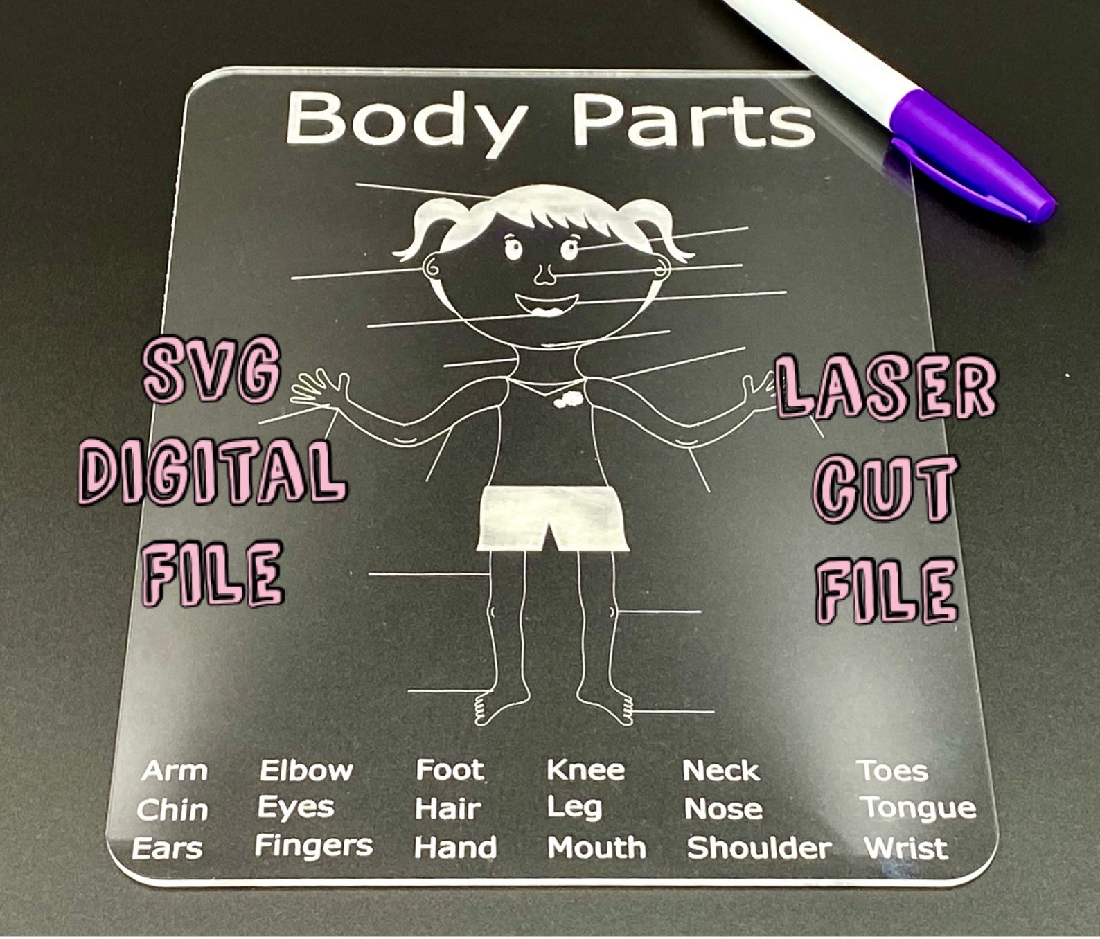 Body Parts SVG. Dry Erase SVG. Learning Boards Digital File. | Etsy