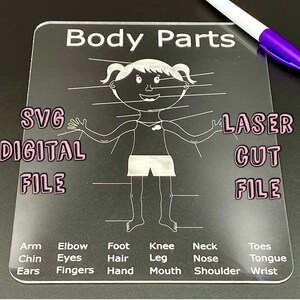 Body Parts SVG. Dry Erase SVG. Learning Boards Digital File. | Etsy