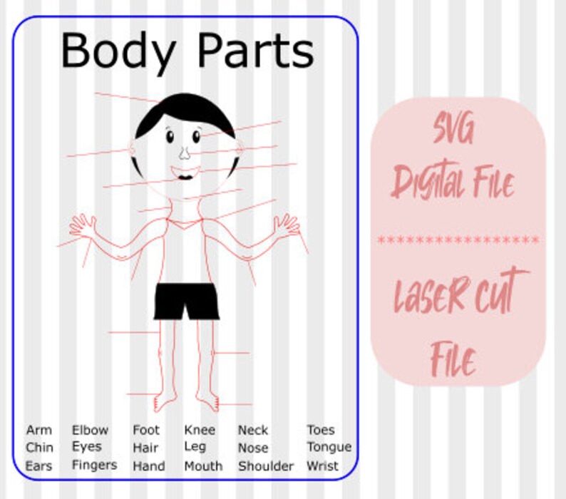 Body Parts SVG. Dry Erase SVG. Learning Boards Digital File. | Etsy