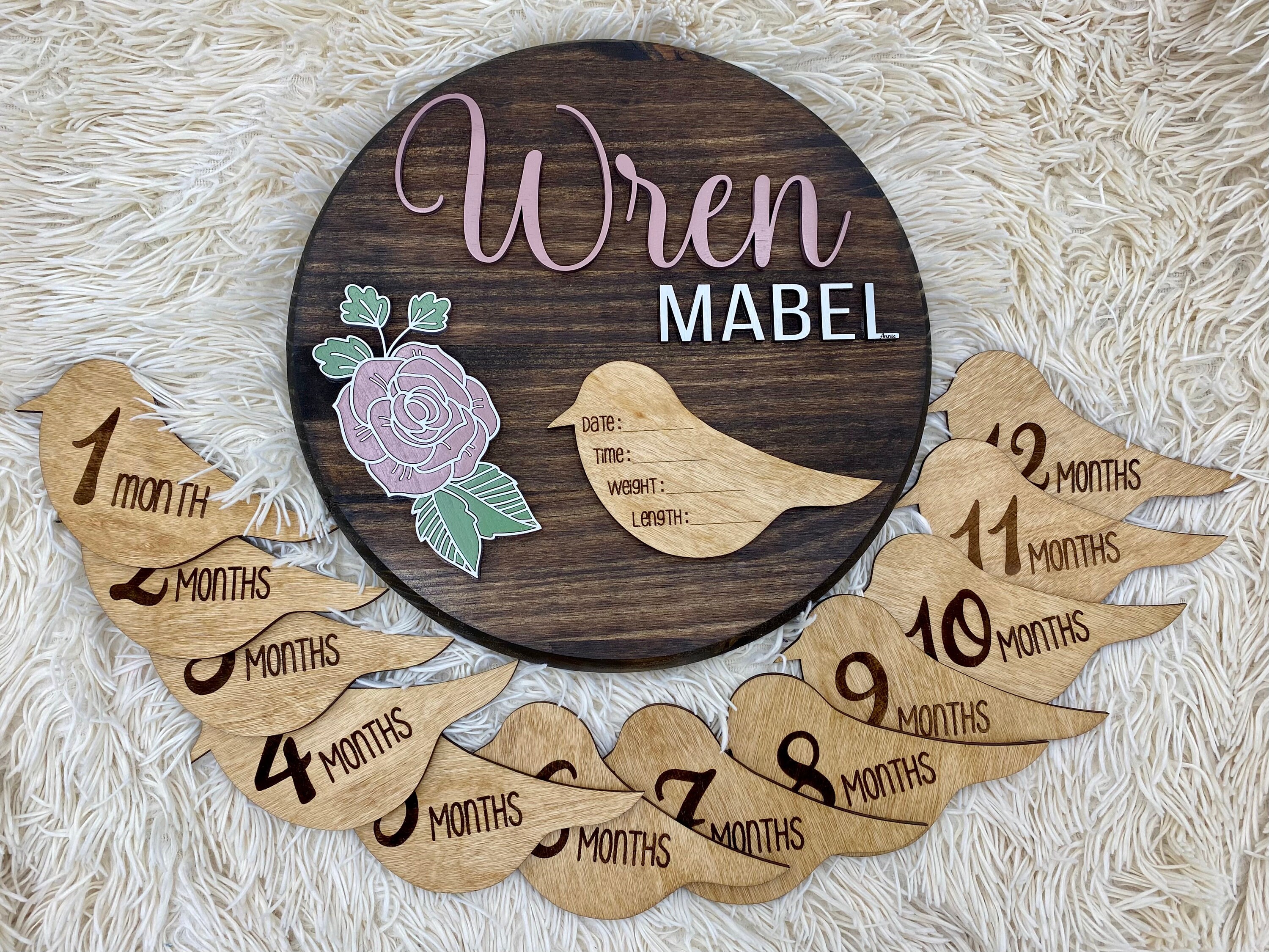 Baby Girl Milestone Sign. Wooden Nursery Sign. Baby Monthly - Etsy