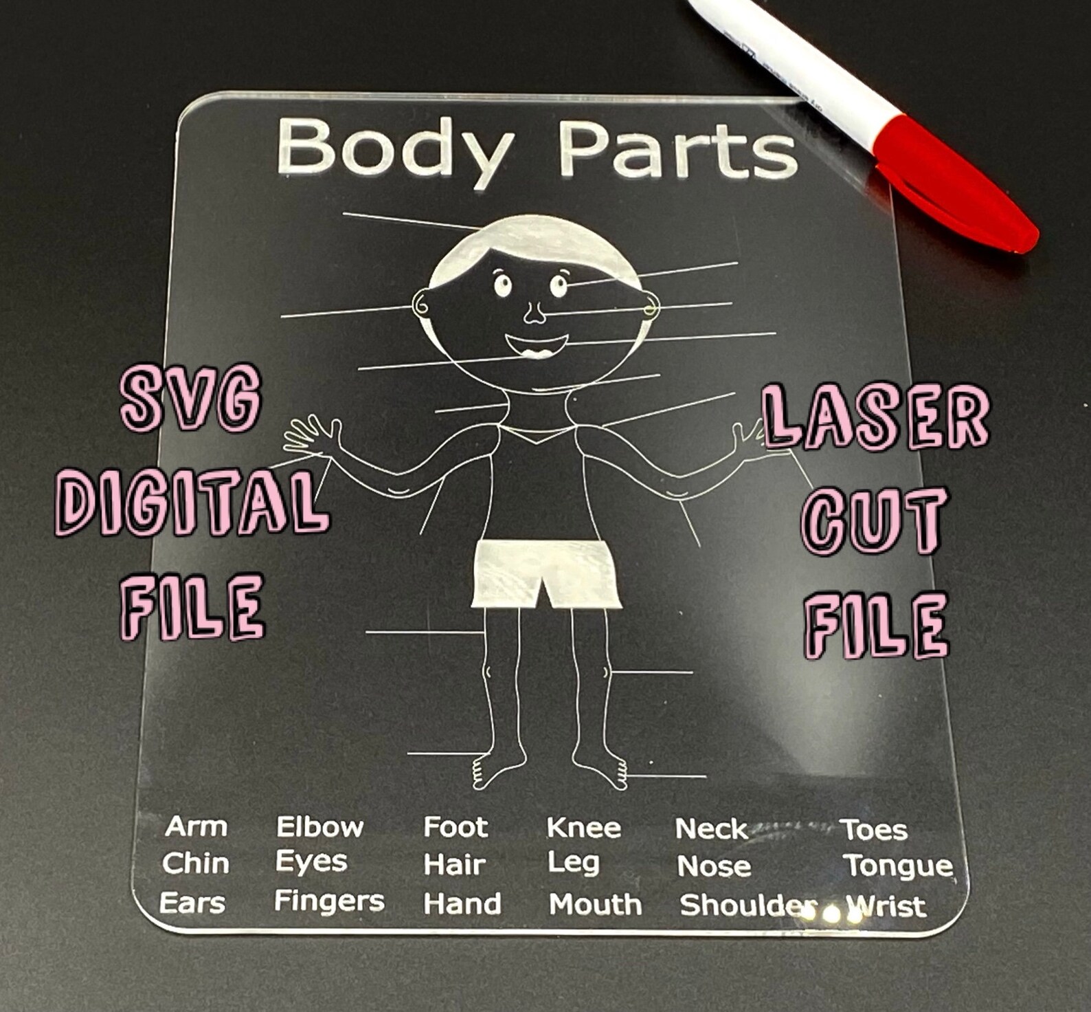 Body Parts SVG. Dry Erase SVG. Learning Boards Digital File. | Etsy