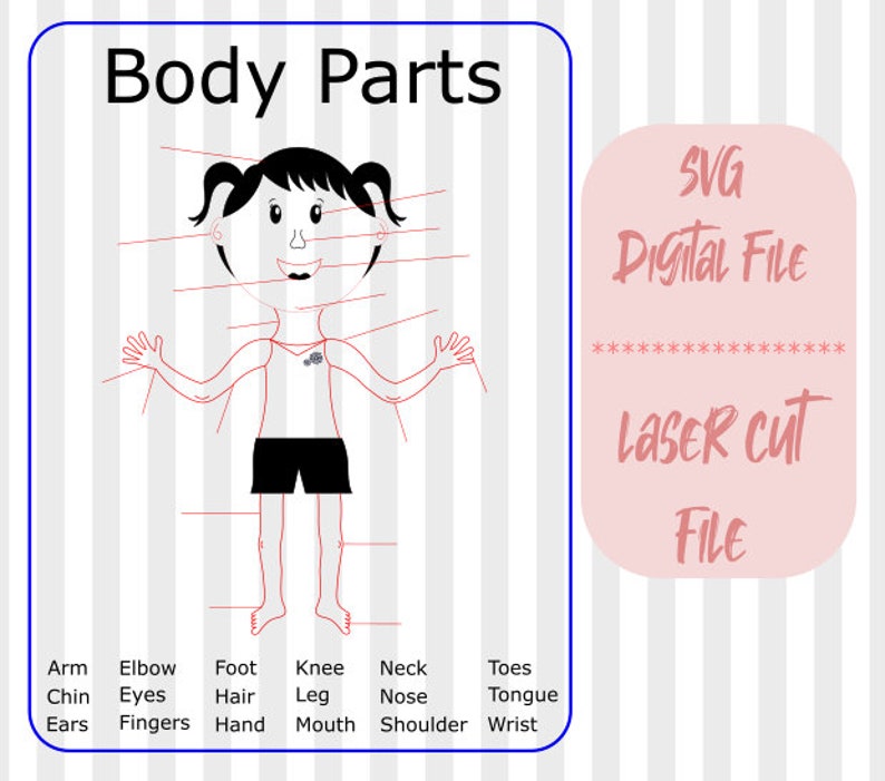 Body Parts SVG. Dry Erase SVG. Learning Boards Digital File. | Etsy