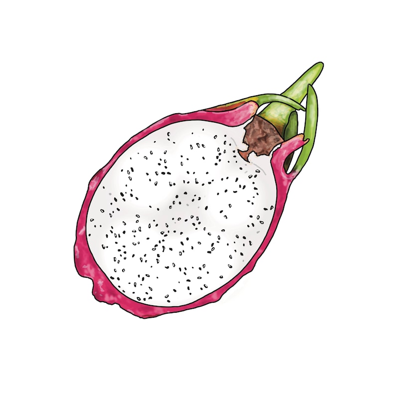 Dragonfruit Poster Fruit Wall Art Printable Realistic Print Aesthetic ...
