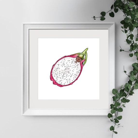 Dragonfruit Poster Fruit Wall Art Printable Realistic Print - Etsy