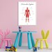 MUSCULAR SYSTEM Montessori Poster Montessori Educational | Etsy
