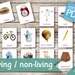 LIVING / non-LIVING 80 Editable Montessori Cards Flash | Etsy