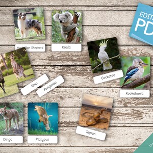 AUSTRALIAN ANIMALS • 32 Editable Montessori Cards • Flash Cards ...