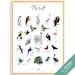 Make Your Own Cards • Custom Template Editable Insert Cards ...