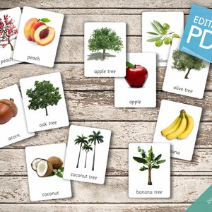 TREES AND FRUITS • 48 Montessori Cards • Flash Cards Nomenclature ...