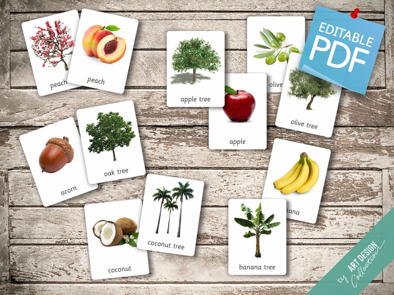 TREES AND FRUITS • 48 Montessori Cards • Flash Cards Nomenclature ...