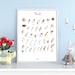 TOOLS POSTER Montessori Poster Montessori Educational Homeschooling ...