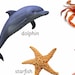 OCEAN ANIMALS POSTER Montessori Poster Montessori - Etsy