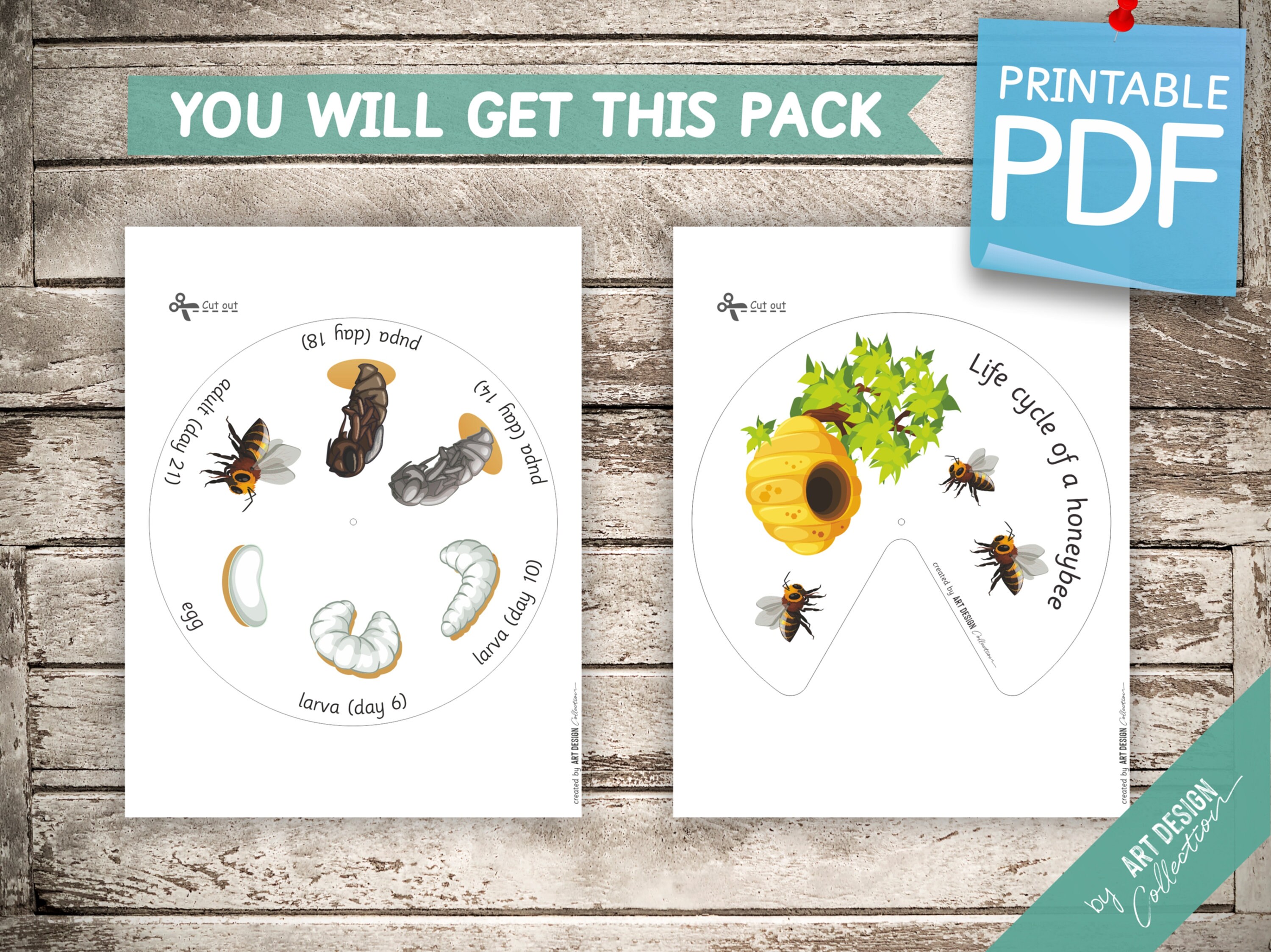 LIFE CYCLE of a HONEYBEE Wheel Montessori Busy Book Activity - Etsy
