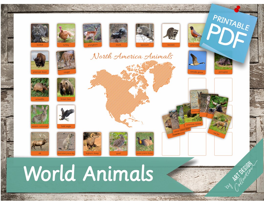WORLD ANIMALS BOOK 7 Printable Cards 17 X 11 - Etsy