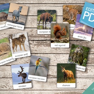 EUROPE ANIMALS • 28 Editable Montessori Cards • Flash Cards ...