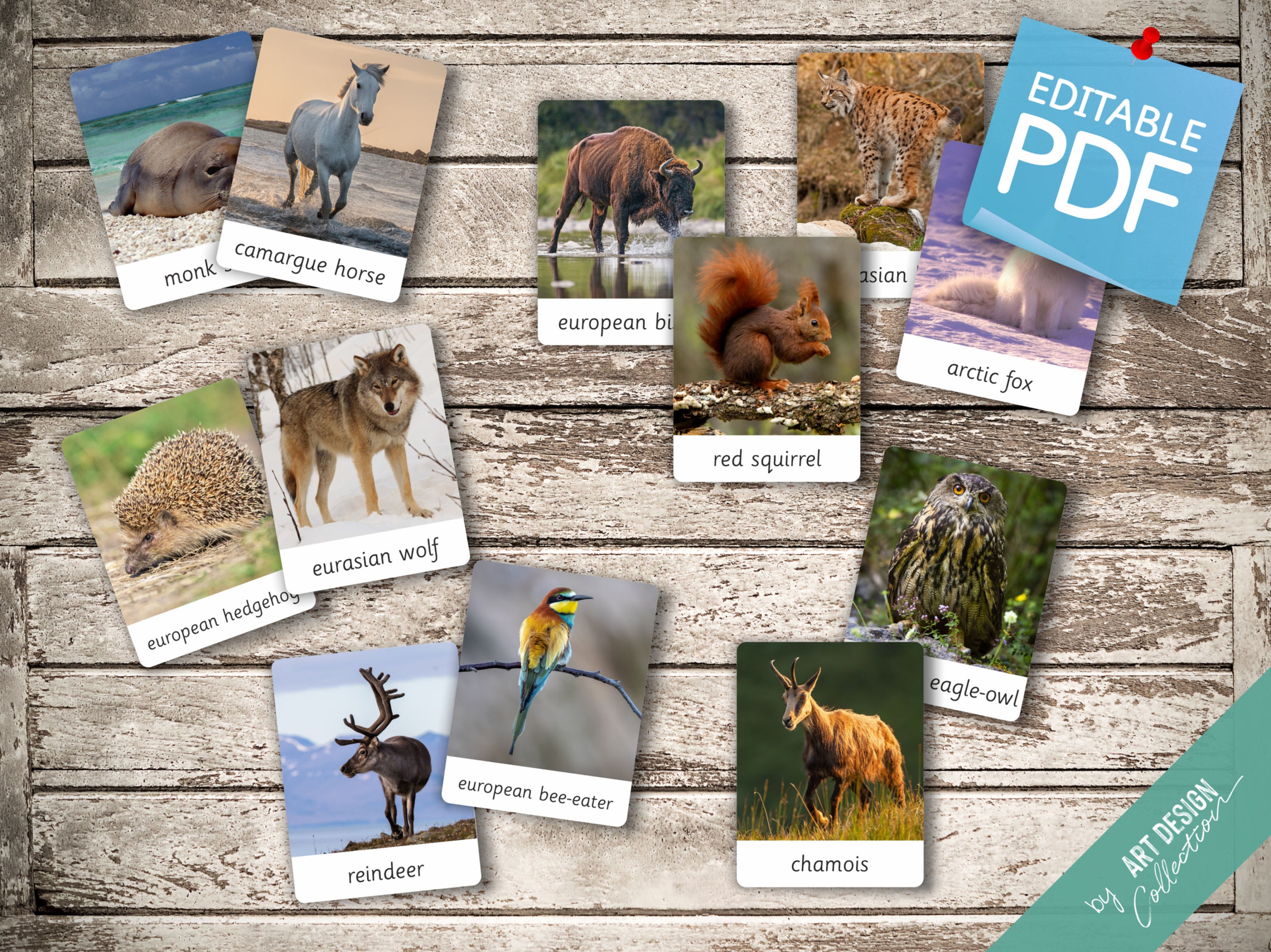 EUROPE ANIMALS 28 Editable Montessori Cards Flash Cards - Etsy