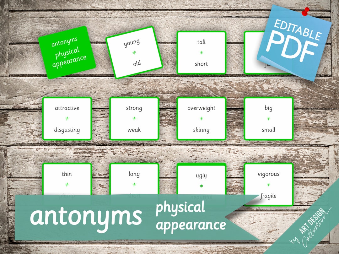 ANTONYMS Physical Appearance • 19 Montessori Cards • Flash Cards ...