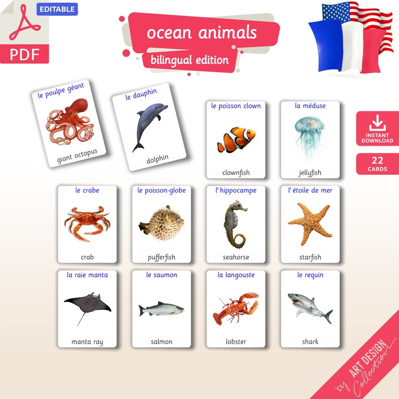 OCEAN ANIMALS BILINGUAL • 22 Editable Montessori Cards • Flash Card ...